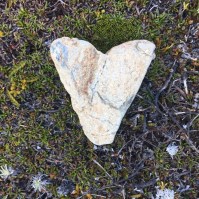 Blog – kim hedge, cs